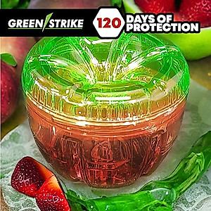 GREENSTRIKE 2-Pack Fruit Fly Traps for Indoors use. 120 Days Solution – Gnat Trap and Effective Fruit Fly Trap – Easy to Use – Best for Kitchen – Dining Areas - Reusable