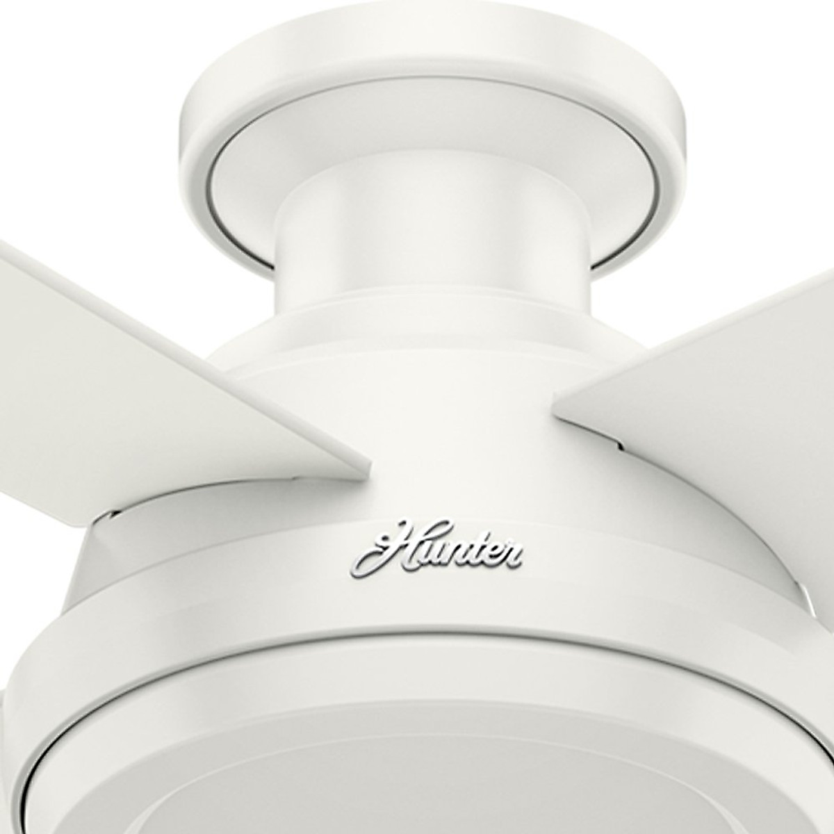 Hunter Fan 52 inch Contemporary Low Profile No Light Fresh White Ceiling Fan with Remote Control (Renewed)