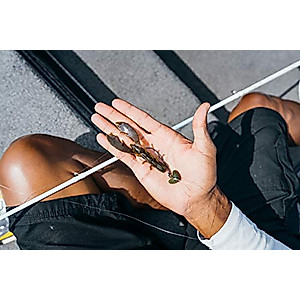 Berkley PowerBait Chigger Craw Green Pumpkin, 4" (9 Count)