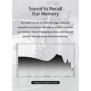 KBEAR Qinglong in Ear Wired Headphone,PU+PEEK Double-Layer Composite Diaphragm in Ear Monitor Stage IEM,Noise Cancellation HiFi Headset with Detachable Cable for Singer Musicial