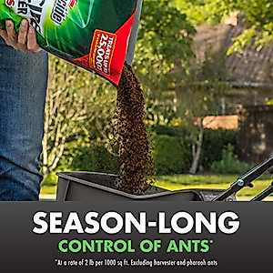 SpectracideTriazicide Insect Killer for Lawns Granules 20 lb, 1-PK