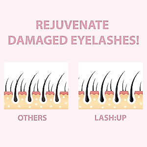 Lash Up, Eyebrow Lamination and Eyelash Lift, Step 1 and Step 2 tube set 20ml, Professional Quality lash perm set Prep by Amber Lash (QUICK PREMIUM)