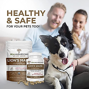 Organic Lions Mane Mushroom Powder Supplement - Improve Cognitive and Immune Support - Gluten Free Powder Extract