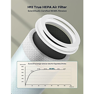 WELOV P100 Mini/P100 Mini Pro Air Purifier Replacement Filter, H13 True HEPA High-Efficiency Activated Carbon Filter for Pet Hair Dander Wildfire Smoke Pollen Dust Mite Kitchen Smells Odor