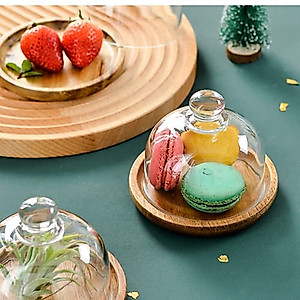 Glass Dome with Wooden Base Mini Cheese Plant Platter Dessert Plate Cake Plate for Cheese Candy Decorative and Succulents Display Clear Glass Jar 4.13"x3.74"x3.15"