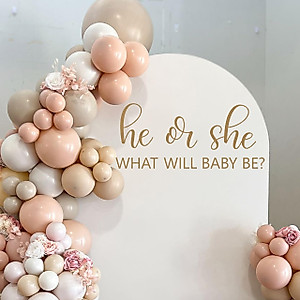 QIANGDAGSI He Or She What Will Baby Be Balloon Arch Decoration - Gender Reveal Girl Or Boy Baby Shower Decal Sign,Baby Gender Reveal Welcome Sign,Welcome Baby Shower Sign Decal (He Or She Decal)
