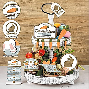 Easter Tiered Tray Decor Spring Table Wooden Sign Decorations Easter Tabletop Farmhouse Signs Carrot Egg Bunny Decor for Easter Party Home Kitchen Holiday (Carrot, 12 Pcs)