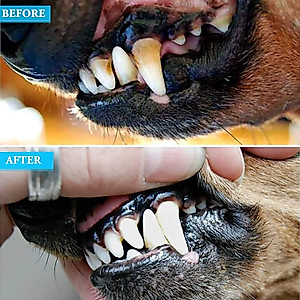 Qubccum 8 Pcs Dog Tartar Remover Pet Teeth Cleaning Tool, Cat Plaque Off Calculus Remover, Dog Tooth Scaler and Scraper, Stainless Steel Dental Forceps for Dogs and Cats Oral Care