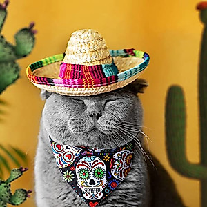 Whaline Mexican Dog Bandana Floral Skull Pet Bandana Red Black Skeleton Dog Bibs Cinco De Mayo Fiesta Pet Scarf Double-Sided Pet Neckerchief for Day of The Dead Party Small Medium Large Cat Dog, 2Pcs