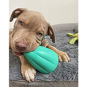 Chew King Premium Treat Dog Toy, L, Extremely Durable Natural Rubber Toy, Pack of 2, All Breed Sizes