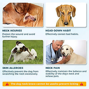 FoxFocus Dog Neck Braces Providing Support for Dogs with Vertebral Neck Injuries, Sprains, and Instability, While Preventing Biting and Licking for Effective Wound Healing