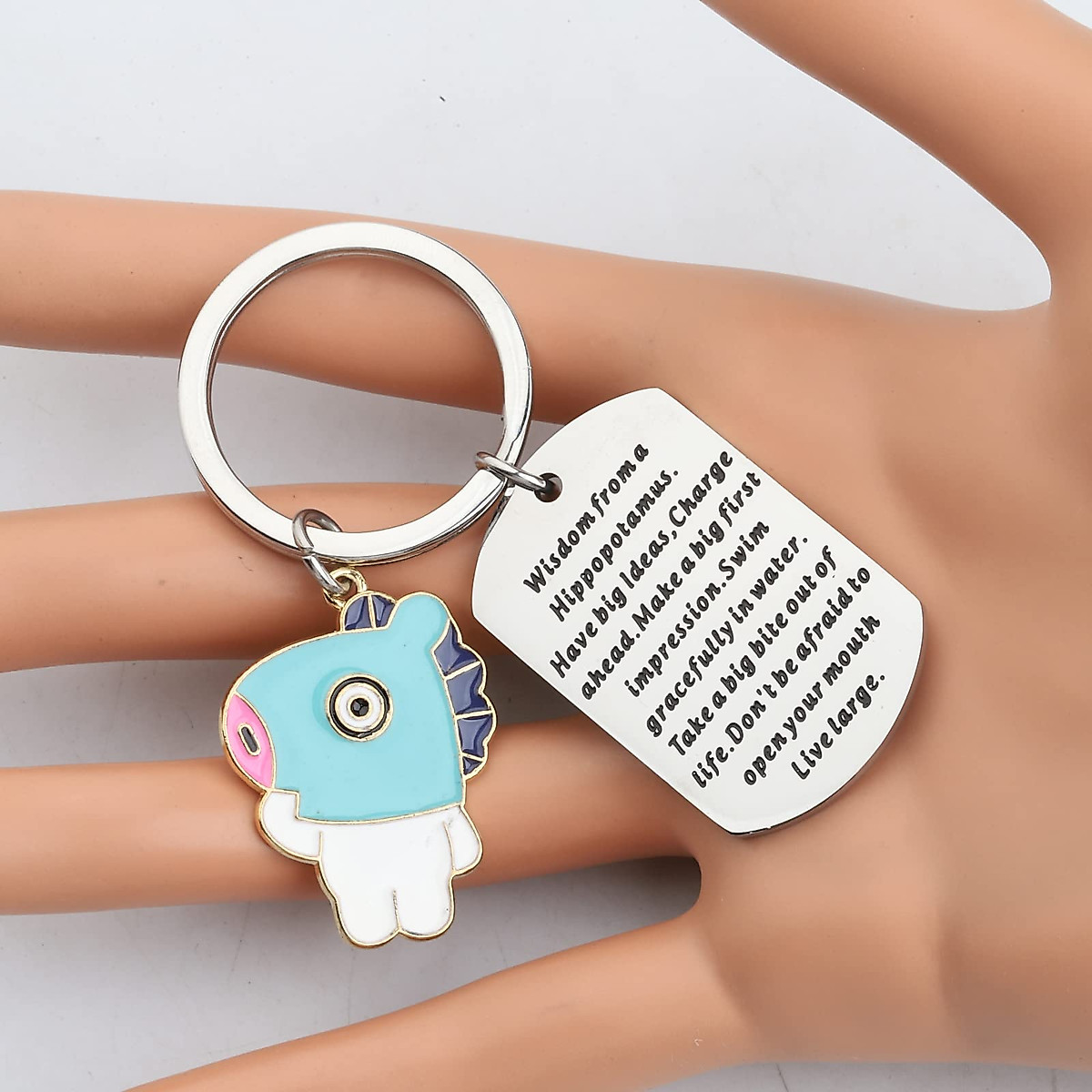 WSNANG Hippo Theme Gift Wisdom From A Hippopotamus Keychain Hippo Lover Gift Hippo Jewelry Gift (Wisdom Hippo KC)