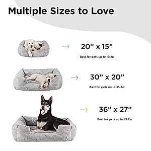 Best Friends by Sheri Soothe & Snooze Lounge Lux Memory Foam Rectangular Dog Bed, Washable, Grey, Medium 30" x 20"