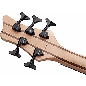 Jackson Pro Series 5-String Spectra Bass SBA V, Blue Burst, Caramelized Jatoba Fingerboard