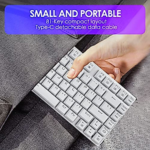 HUO JI 60% Mechanical Gaming Keyboard, E-Yooso Z-88 with Red Switches, Rainbow LED Backlit, Compact 81 Keys Hot Swappable, Silver and White