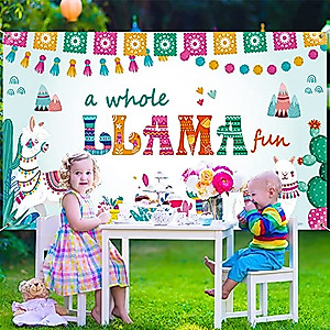 Llama Backdrop a Whole Llama Fun Birthday Backdrop Cactus Mexican Theme Photography Background Fiesta Llama Party Birthday Decoration, Baby Shower Decorations Cake Table Decors, 70.9 x 43.3 Inches
