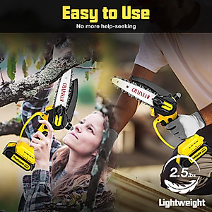 Zeeksaw Mini Chainsaw Cordless Battery Powered, Upgraded 4 in Handheld Portable Operated with Oiling System, Electric Chainsaws for Garden Yard Camping -Time Saver