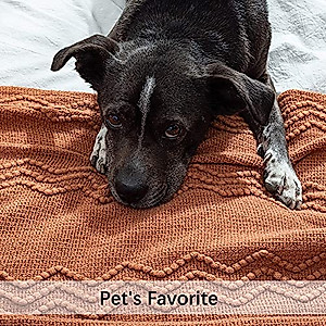 MIULEE Knitted Throw Blanket for Couch Textured Knit Rust Blanket with Tassels Cozy Woven Boho Bed Blanket for Sofa Bed Chair Wave Pattern Fall Decor 50"x60", Orange