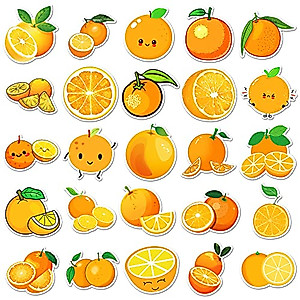 QUTA Orange Stickers Pack, 50PCs, Aesthetic Vinyl Kids Fruit Sticker Decals, Stickers for Hydro Flask, Laptop, Water Bottle, Stickers for Kids, Toddlers, Teens, Girls, Adults, Bumper Car Planner Stickers. Orange