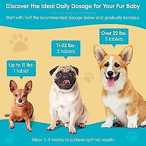 Wanderfound Pets Same 100 Liver Support for Dogs - Same S-Adenosyl-L-Methionine Hepatic Supplement for Liver & Brain Support - Bacon Flavored Sam E, Manufactured in The USA - 30 Chewable Tablets