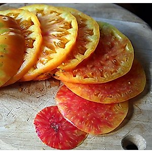Hillbilly Heirloom Tomato Seeds- 30+ Seeds