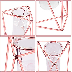 Test Tube Vases for Flowers, Glass vase with Metal Stand, Hydroponics Clear Planter Metal Glass Vase Hinged Art Vase Plant Holder Flower Vase for Modern Home Office Garden Wedding Decor(Rose Gold)