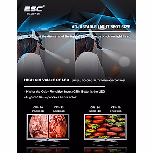ESC Medicams Dental Headlight Loupe 10W Surgical LED Headlamp ENT Portable (123.001)