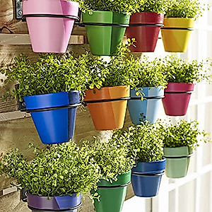 Apple Barrel Gloss Paint Set, 16 Piece (2-Ounce), PROMOABG Colors