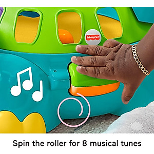 Fisher-Price Baby Crawling Toy, Poppity Pop Musical Dino Ball-Popper with Sounds for Infants Ages 6+ Months, Blue