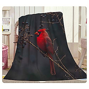 Swono Red Bird Throw Blanket,Northern Cardinal Bird On The Tree Branch Thorw Blanket Soft Warm Decorative Blanket for Bed Couch Sofa Office Blanket 30"X40"