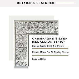 MCS 24x36 Inch Stamped Medallion Wall Mirror, 32x44 Inch Overall Size, Champagne Silver (47700), 32 by 44-Inch