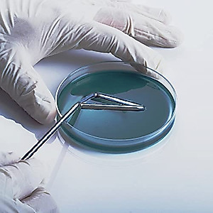 ZENGSUSU Bacterial Cell Spreader Stainless Steel, 1.38 inch Wide Spreading Bar