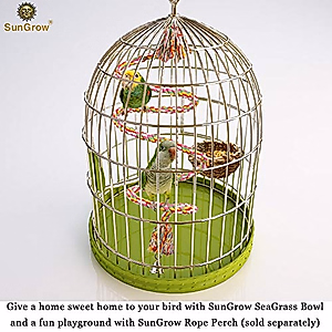 SunGrow Seagrass Bird Nest, Attachable to Cage, 2 Metal Hooks Included, for Canaries, Budgies or Finches