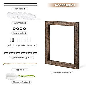 Mkono Double Layer Wall Hanging Glass Planter Propagate Station, Modern Novel Flower Bulb Vase Plant Terrarium with Retro Wooden Stand for Hydroponics Plants Home Garden Office Decor, 6 Bulb Vase