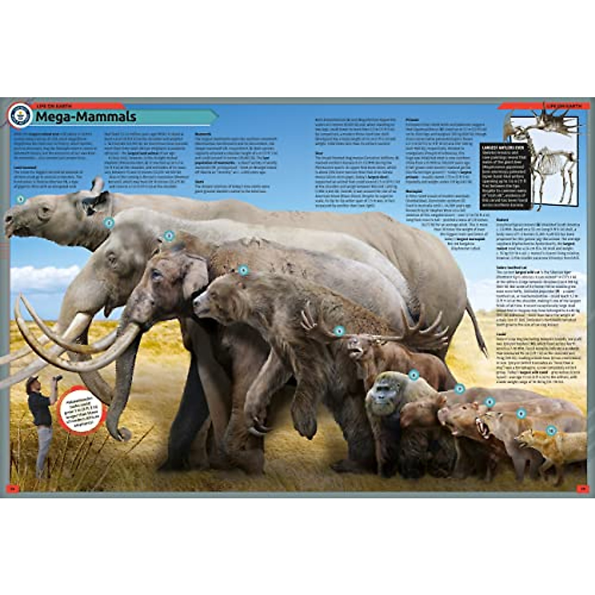 Guinness World Records 2023