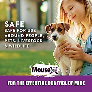 MouseX Ready-to-Use Pre-Measured 3 oz. Bait Trays, 2-Pack: EcoClear Products 620107