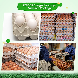 Estune 120 Pack Egg Cartons Crates Bulk 30 Cell Pulp Fiber Egg Flats Reusable Stackable Cardboard Chicken Egg Tray for Home Storing Packing Roach Colony Soundproofing