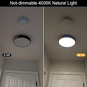 Goomavi Modern LED Ceiling Light, Black Round Wood Flush Mount Ceiling Light Fixture,Minimalist Lighting Ceiling Lamp for Hallway Entryway Bedroom Closet Laundry Room-Not Dimmable 4000K 11.8 Inch