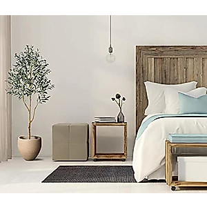 Phimos Artificial Olive Tree Tall Fake Potted Olive Silk Tree with Planter Large Faux Olive Branches and Fruits Artificial Tree for Modern Home Office Living Room Floor Decor Indoor (5.24FT)