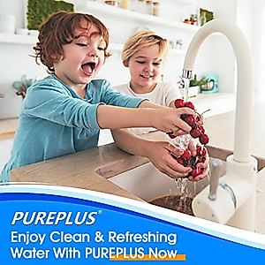 PUREPLUS Whole House Water Filtration System with Sediment and Carbon Water Filter