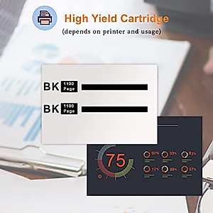 Run Star Remanufactured 702XL Black Ink Cartridge Replacement for Epson T702XL 702 T702XL T702XL120 for Epson Workforce Pro WF-3720 WF-3733 WF-3730 All-in-One Printer, 2 Packs