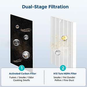 Fil-fresh C545 Replacement Filter S, Compatible with Winix C545 Air Purifier, Includes 2 True HEPA Filter and 8 Activated Carbon Filters, Replaces Part 1712-0096-00
