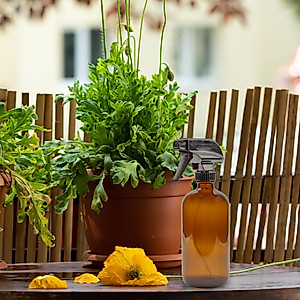 Cornucopia Brands 16oz Amber Glass Spray Bottles w/Reusable Chalk Labels (2 Pack), Heavy Duty Mist & Stream 3-Setting Sprayer; Great for Essential Oils