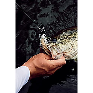 Berkley SlobberKnocker Fishing Jig, Green Pumpkin Shad, 1/2 oz