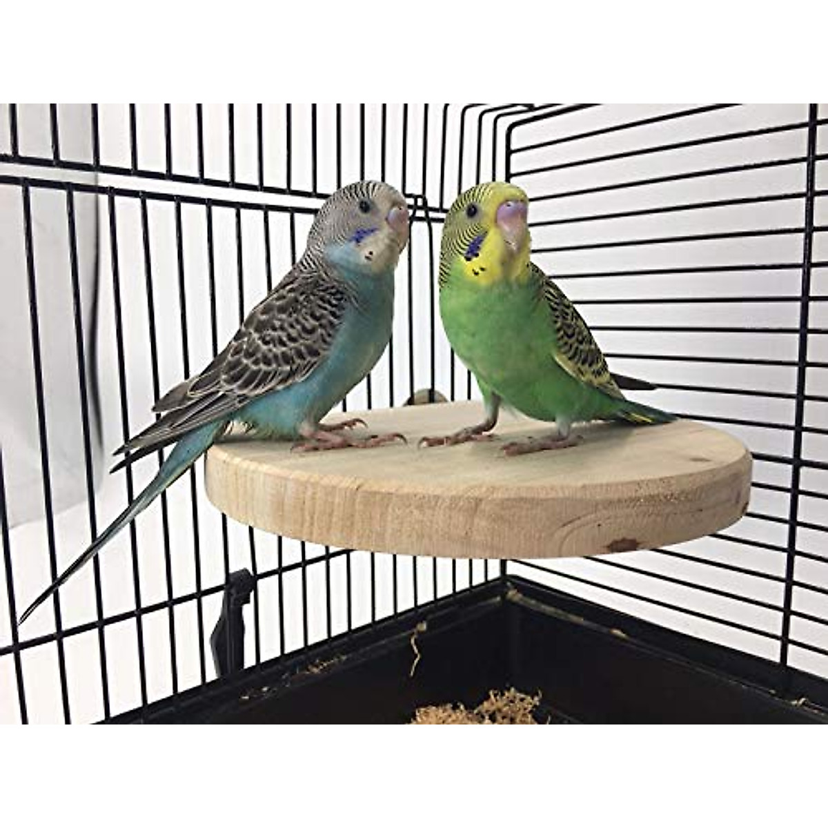 MINORPET Wood Perch Platform Stand for Small Animals Pet Cage Accessories Bird Parrot African Grey Parakeet Conure Cockatiel Budgie Gerbil Rat Mouse Chinchilla Hamster Exercise Toy