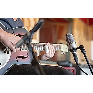 Neumann TLM 102 Condenser Microphone, Nickel