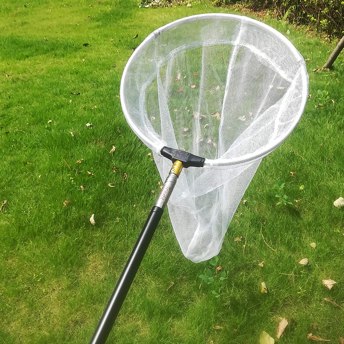 Trasfit Insect and Butterfly Net with 12" Ring, Net Handle Extends to 59 Inches for Adults & Kids