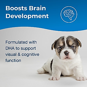 Pet-Ag Esbilac 2nd Step Puppy Weaning Food - 5 lb - Powdered Puppy Weaning Formula with DHA, Natural Milk Protein, Vitamins & Minerals for Puppies 4-8 Weeks Old - Easy to Digest