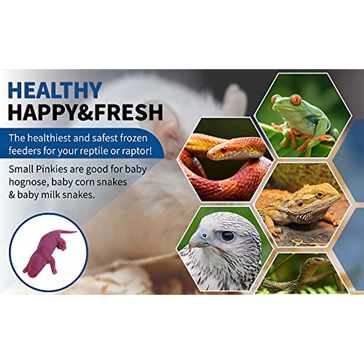 MiceDirect Frozen Pinkie Feeder Mice Food for Corn Snakes Ball Pythons Lizards (75 Count)