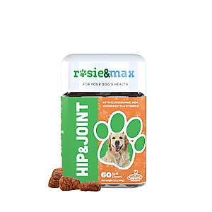 Hip and Joint Supplement Chews for Dogs by Rosie & Max, Canine Joint Support with Glucosamine and MSM, Joint Health Support for Small, Medium, and Large Breeds, 60 Chews, 5 oz Jar